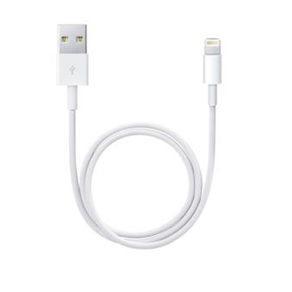 Data Cable for Apple iPhone 5s - Maxbhi.com
